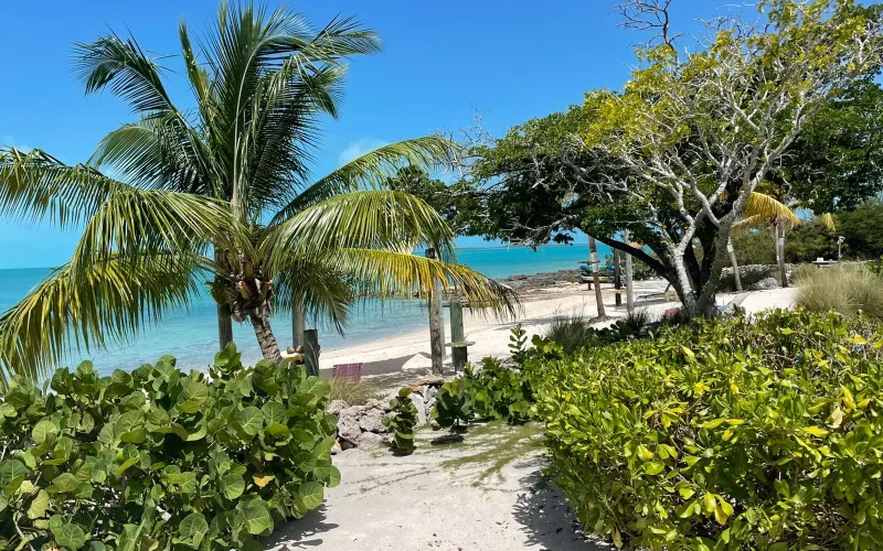 Grotto Bay: Beachfront Villa in Long Island, Bahamas
