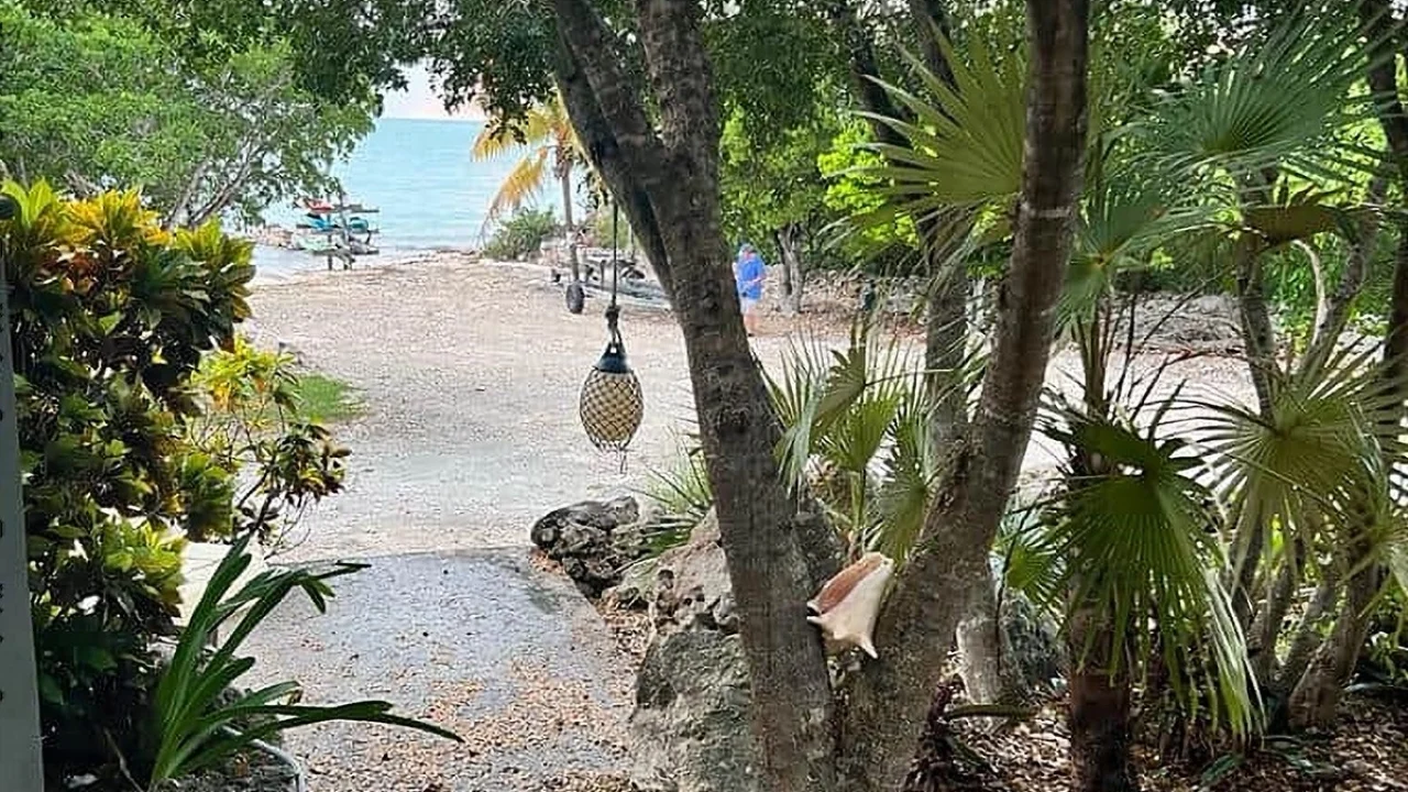 Grotto Bay: Beachfront Villa in Long Island, Bahamas