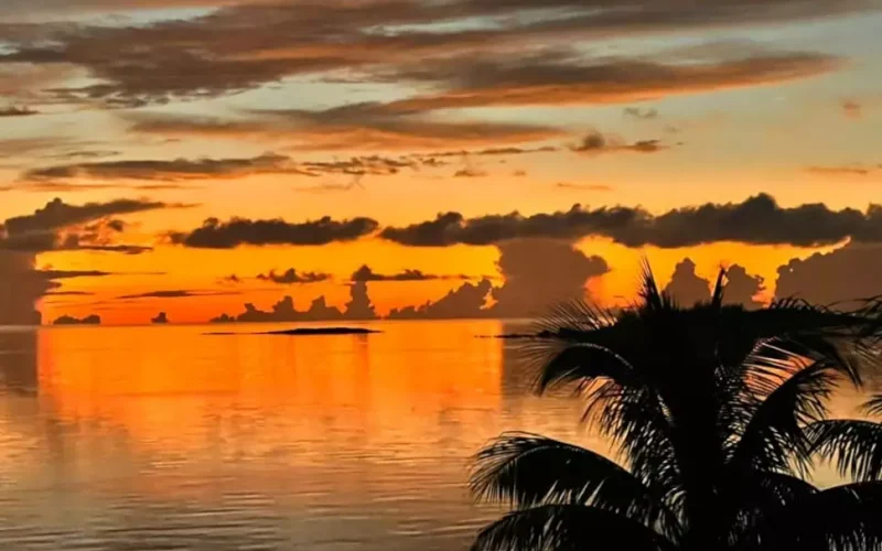 Grotto Bay for 6: Tropical Oasis in Salt Pond, Long Island