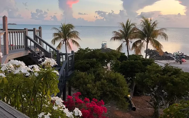 Grotto Bay for 6: Tropical Oasis in Salt Pond, Long Island